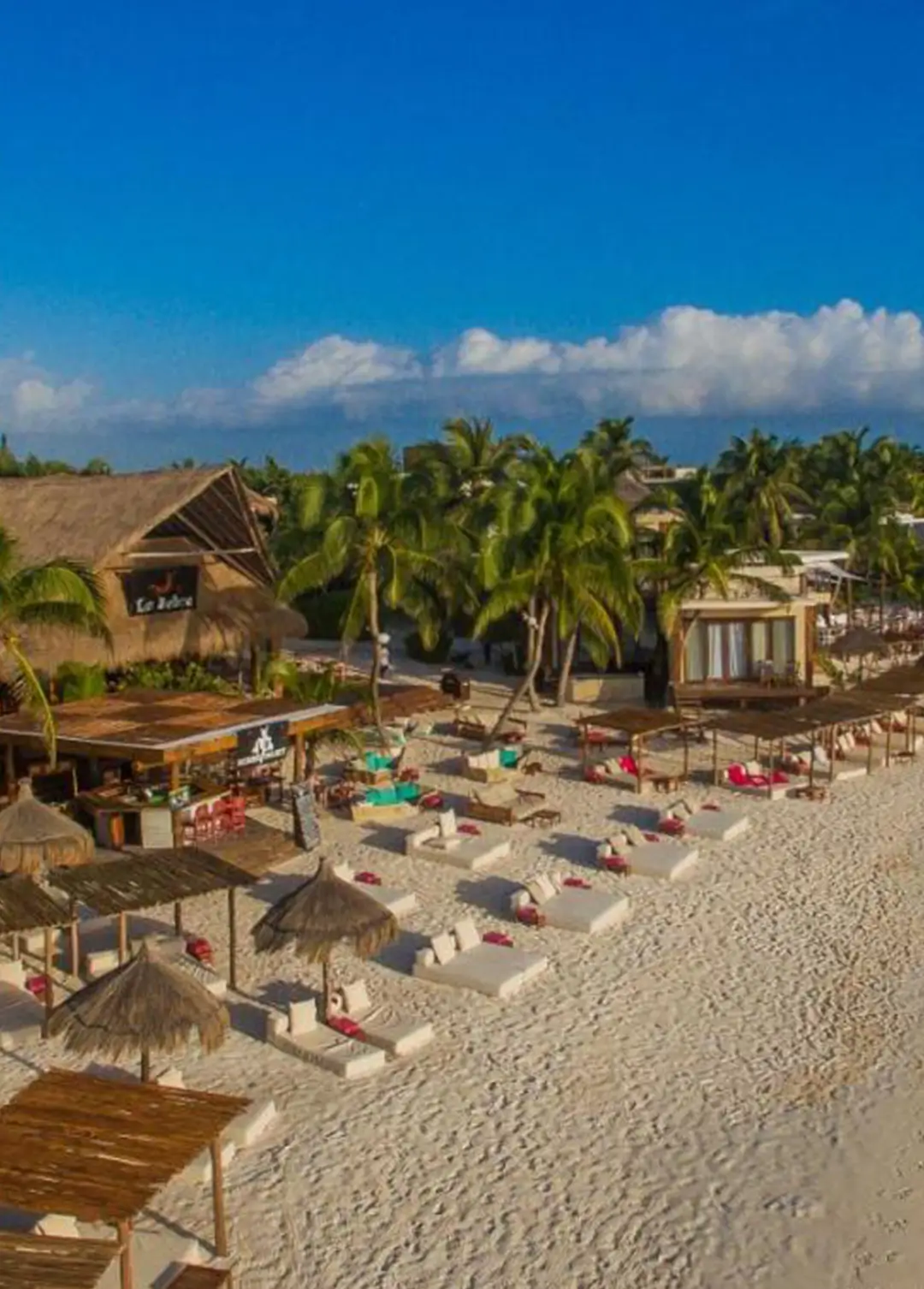 מלון La Zebra Tulum | מלונות בטולום | טרוולינגוס -Travelingos